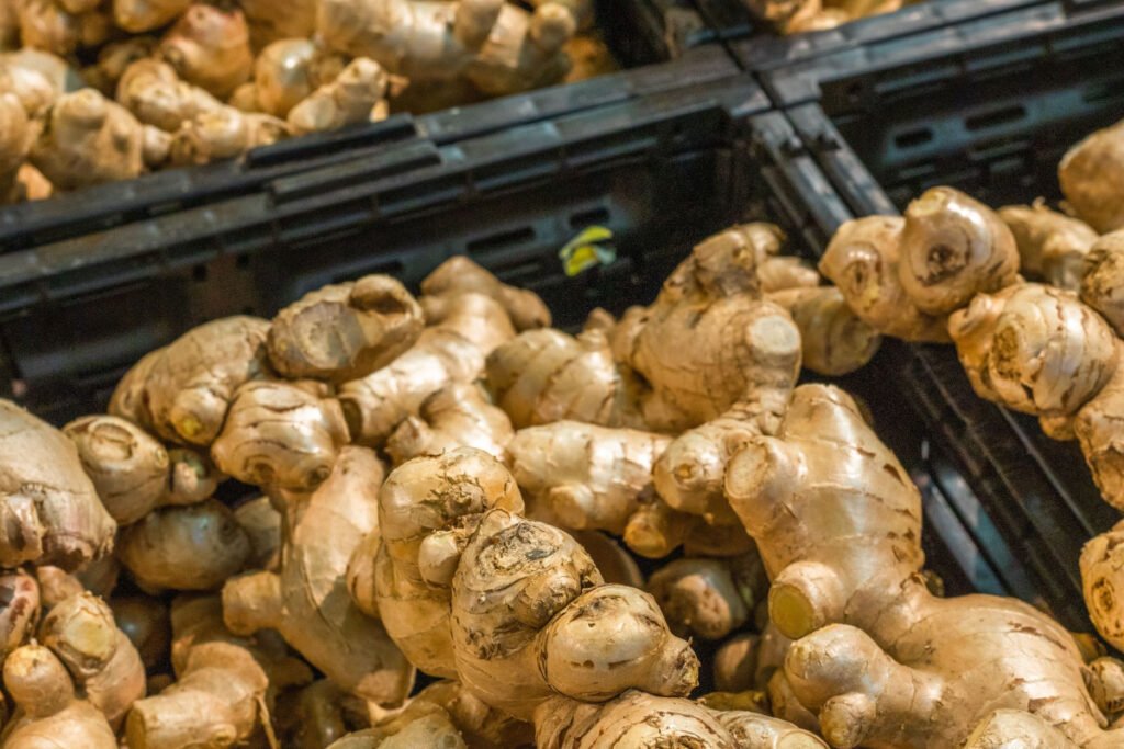 Different Types Of Ginger KeepFoodFresh.co
